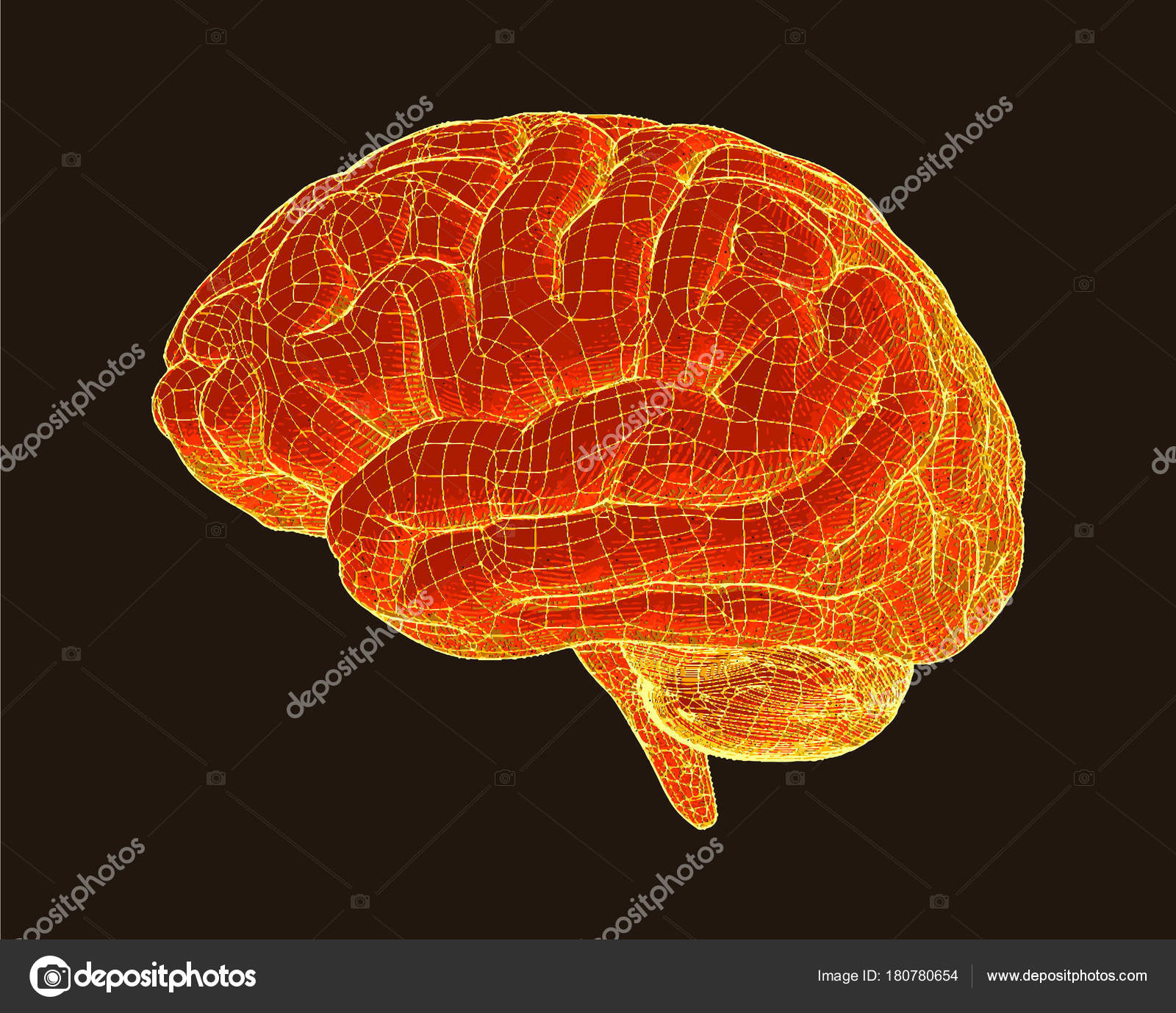 Orange brain illustraion isolated on black BG Stock Vector by ©Jolygon ...