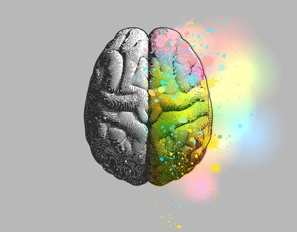 Fuction Vector Art Stock Images | Depositphotos