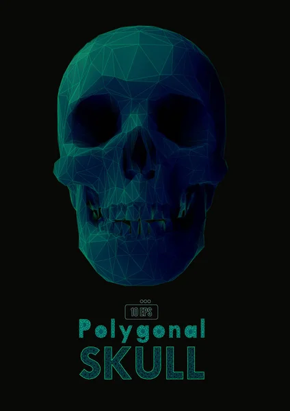 100,000 Anatomia cranio Vector Images | Depositphotos