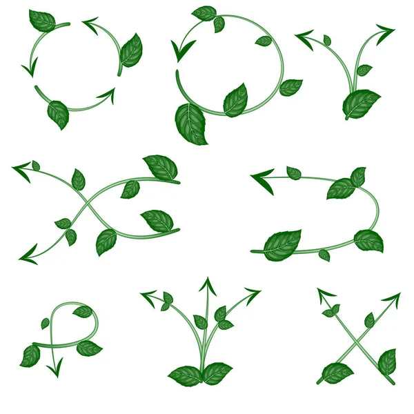 Set of ecological leaf arrow on white background — Stock Vector ...