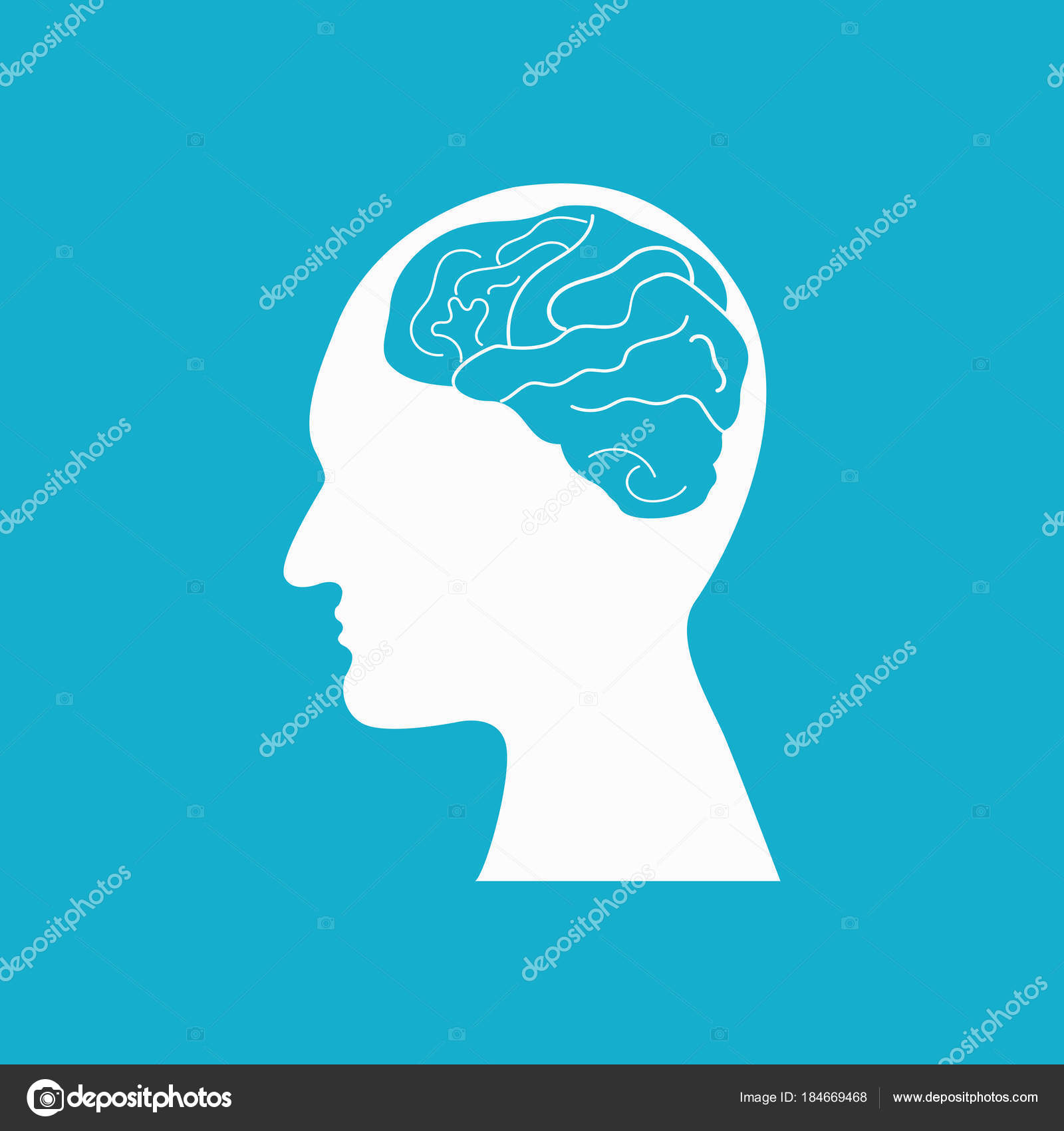 Cabeza Humana Con Cerebro Cabeza Pensante Cerebro Cabeza Lluvia Ideas ...