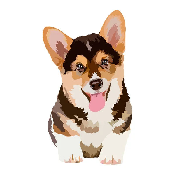 Corgi Vector Art Stock Images | Depositphotos