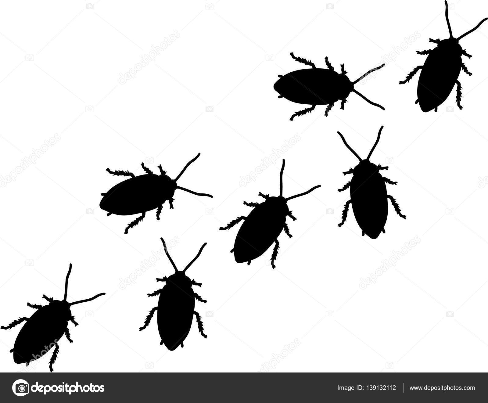 Group Of Cockroaches Stock Vector Image By ©miceking 139132112