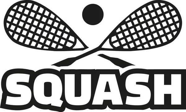 Squash game Vector Art Stock Images | Depositphotos