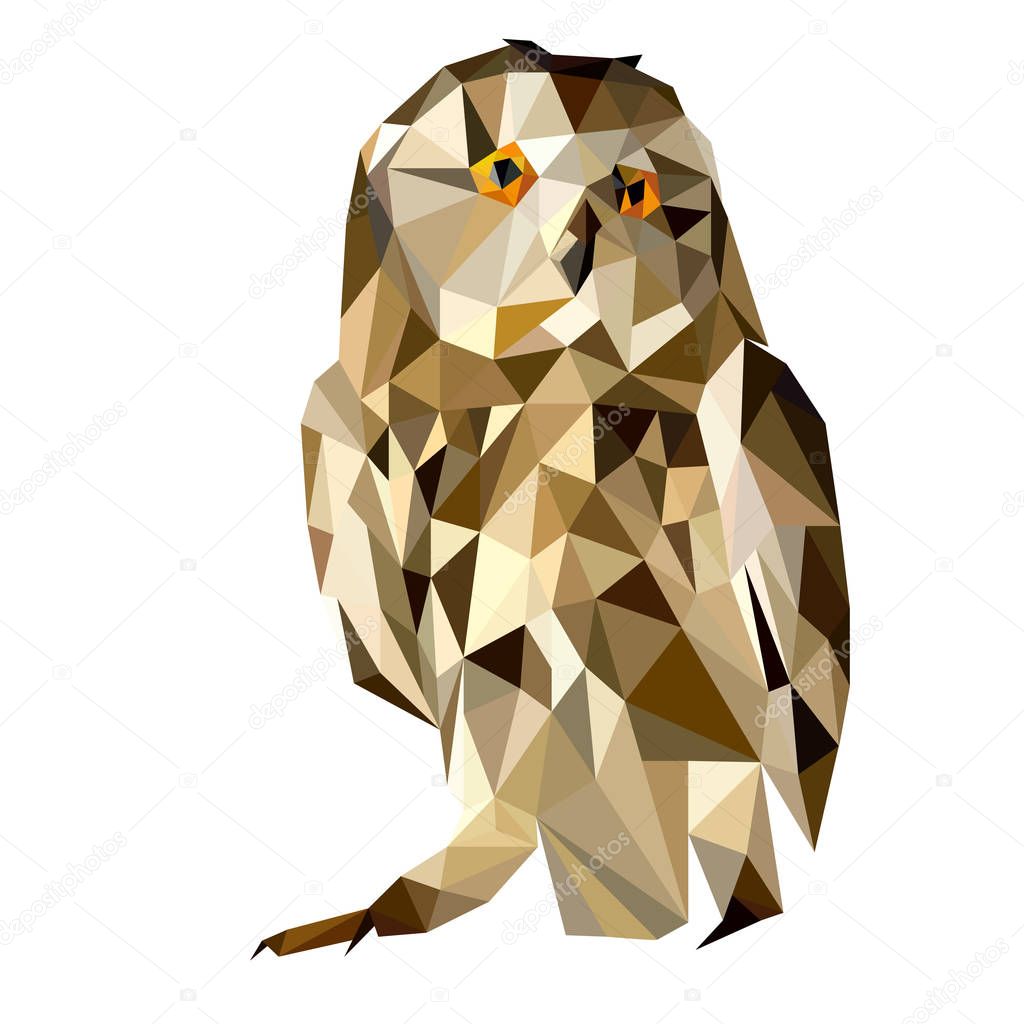 Owl vector polygon geometric — Stock Vector © Gnatiuklv #134793412