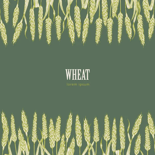 100,000 Wheat vintage background Vector Images | Depositphotos