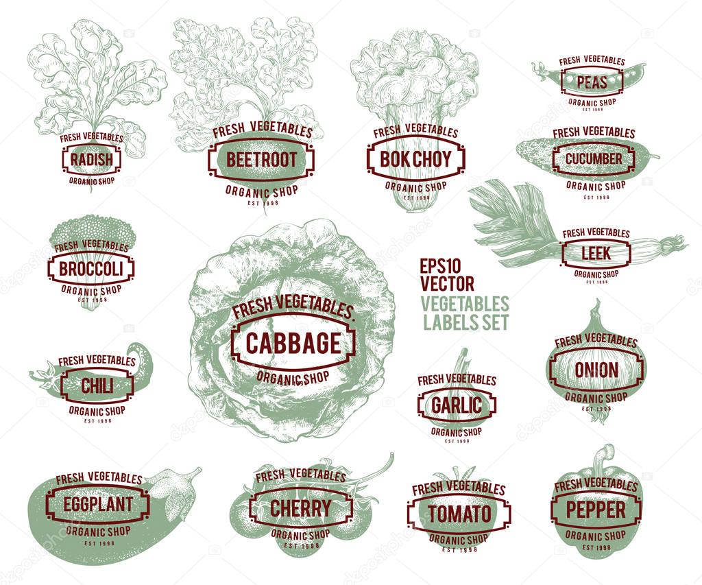 Colección de ilustraciones vegetales dibujadas a mano, ilustración vectorial en estilo vintage ...