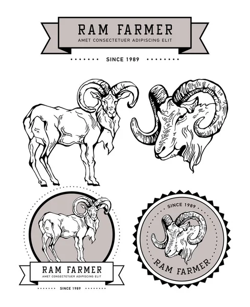 Vintage hand draw ram label Stock Vector Image by ©oxygen_8 #153164532