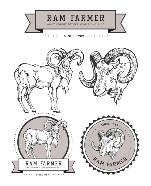 Vintage hand draw ram label Stock Vector Image by ©oxygen_8 #153164532