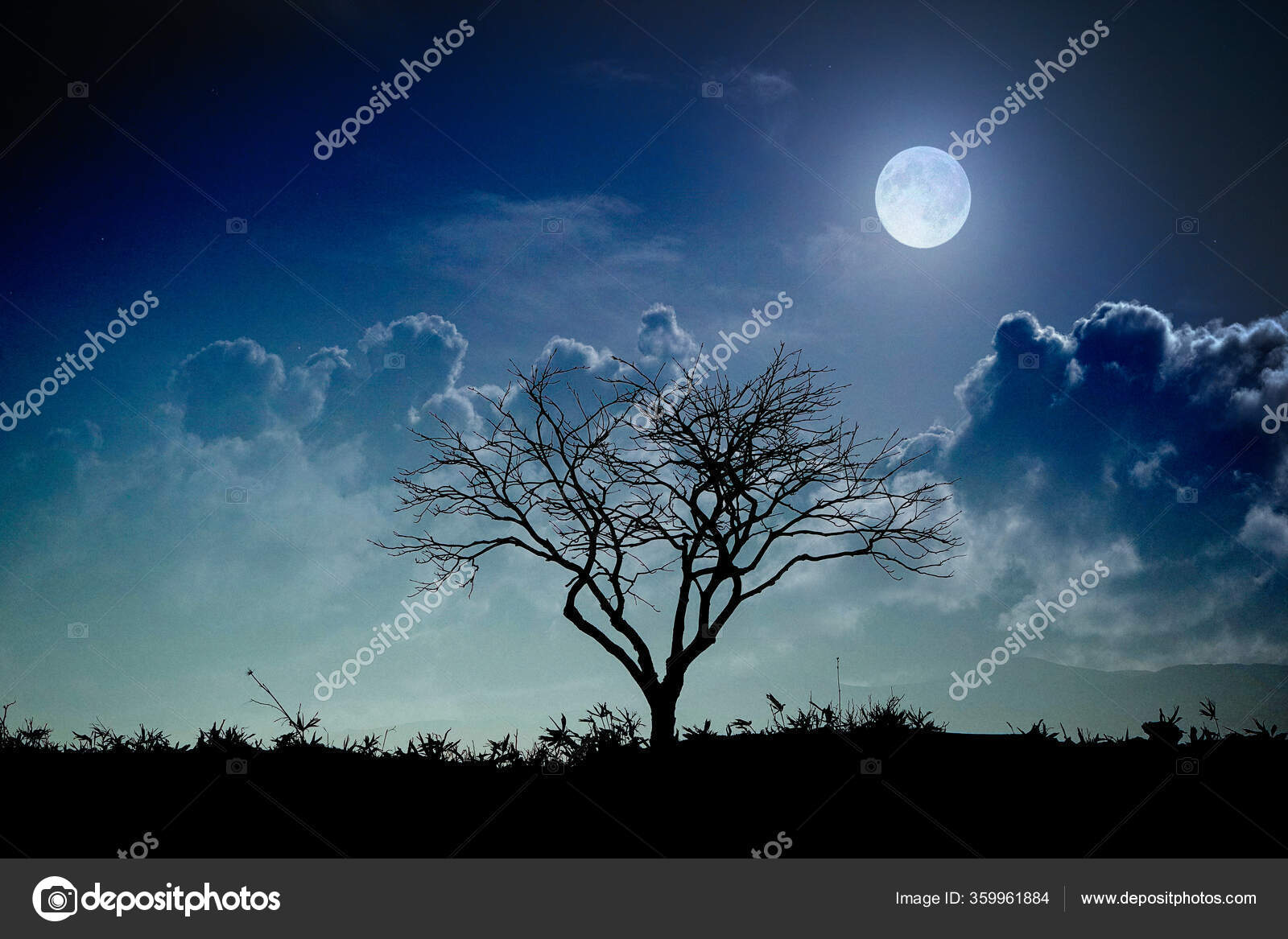 Dead Tree Moon Winter Stock Photo by ©makieni777 359961884