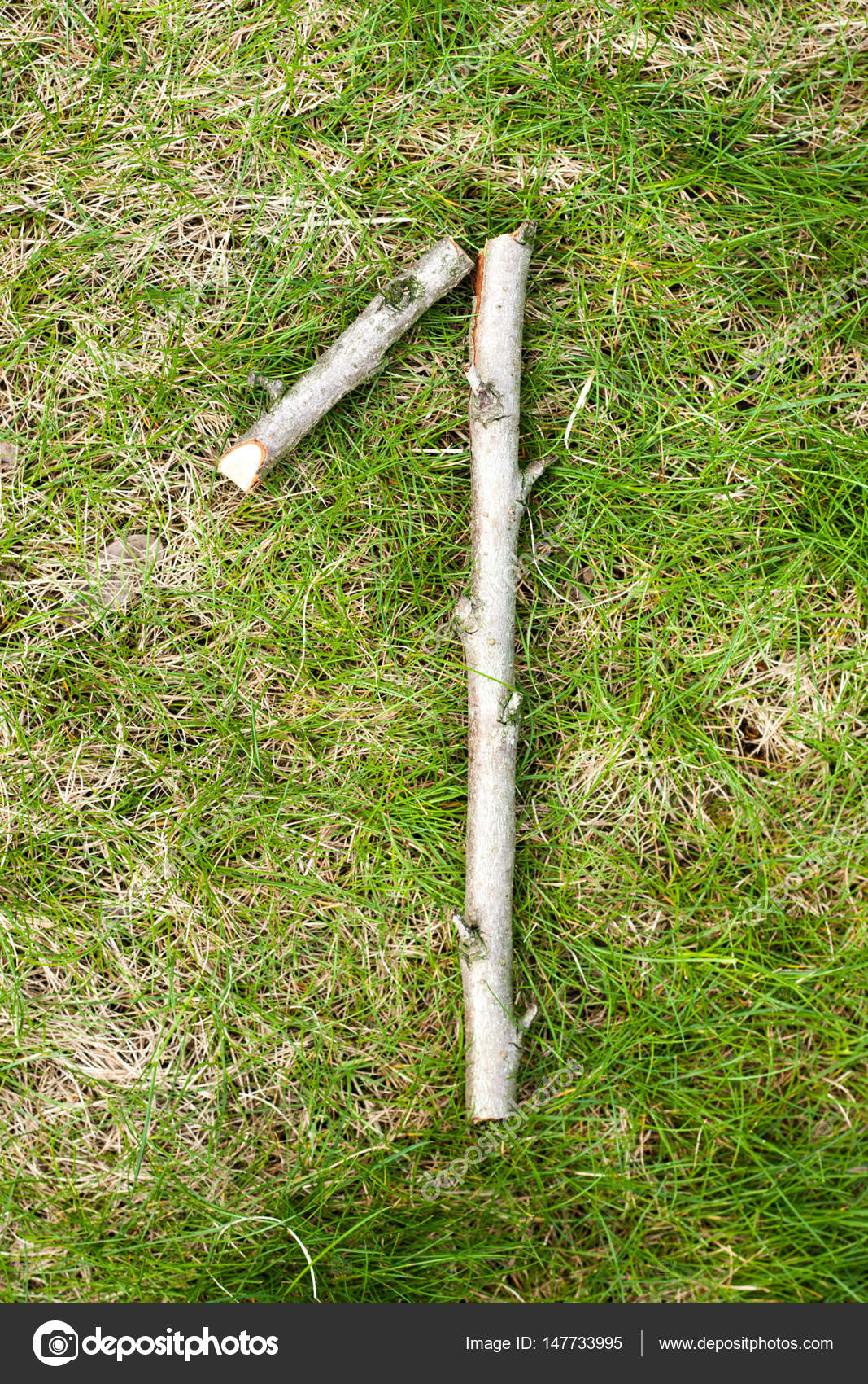 Numbers on green spring grass made of wooden sticks: number 1 ON ...