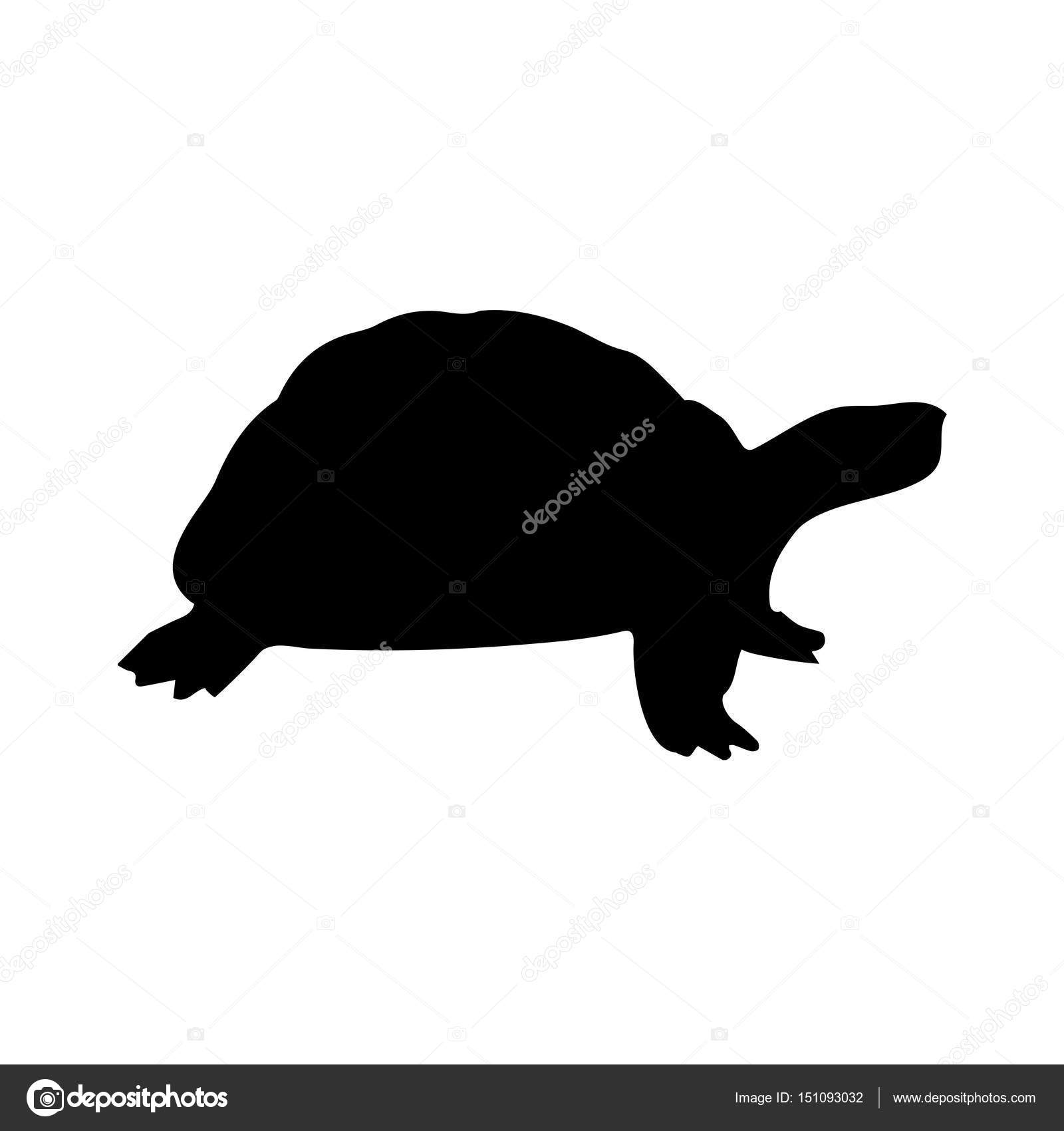 Piktogramm Schildkröte Symbol. schwarzes Symbol auf weißem Hintergrund ...