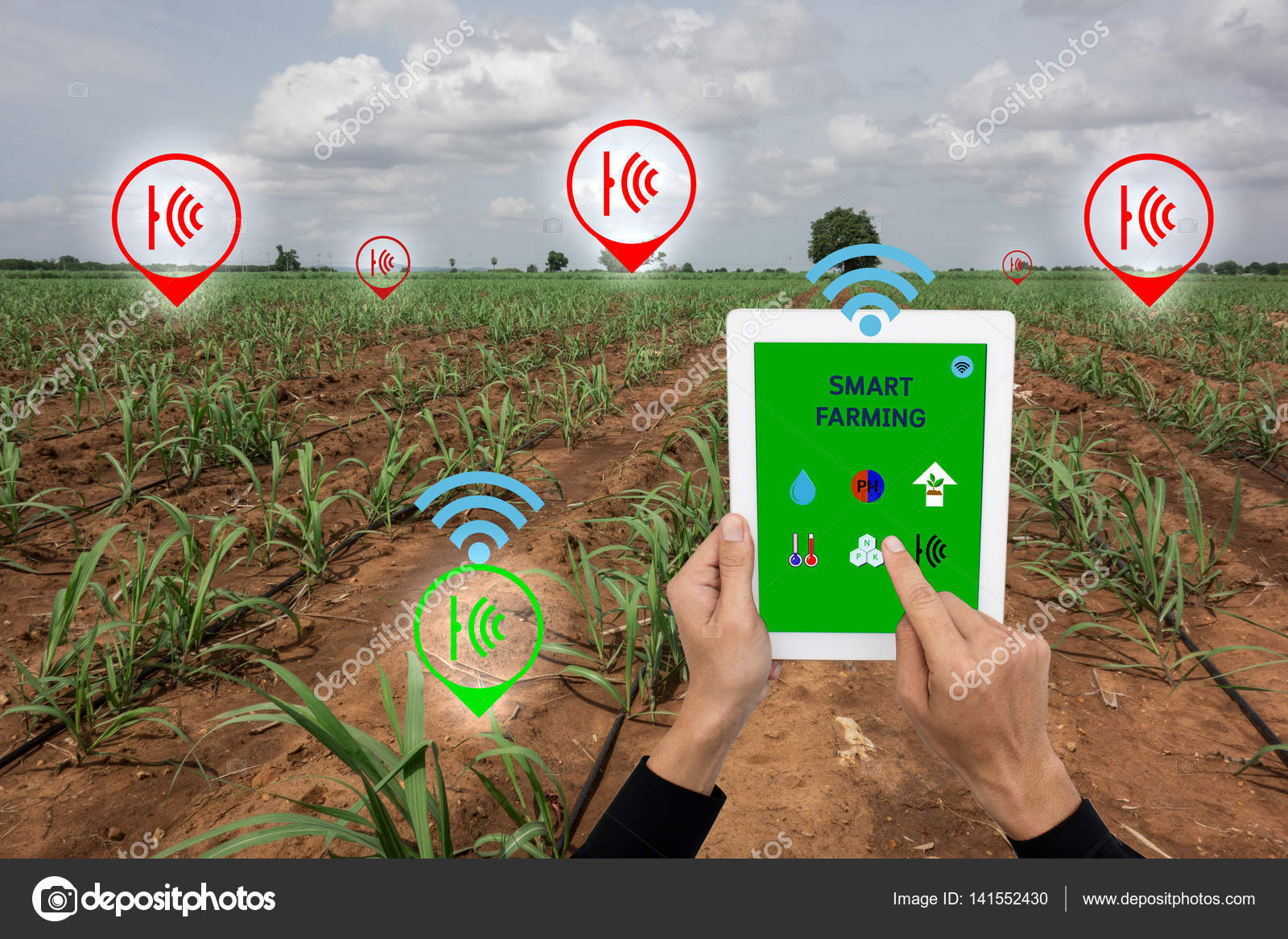 Internet Des Objets Concept Dagriculture Agriculture Intelligente