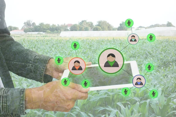 Internet Des Objets Concept Dagriculture Agriculture Intelligente