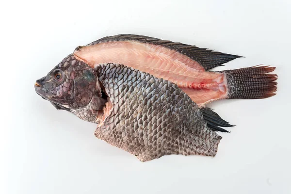 Data mexico tilapia Stock Photos, Royalty Free Data mexico tilapia ...