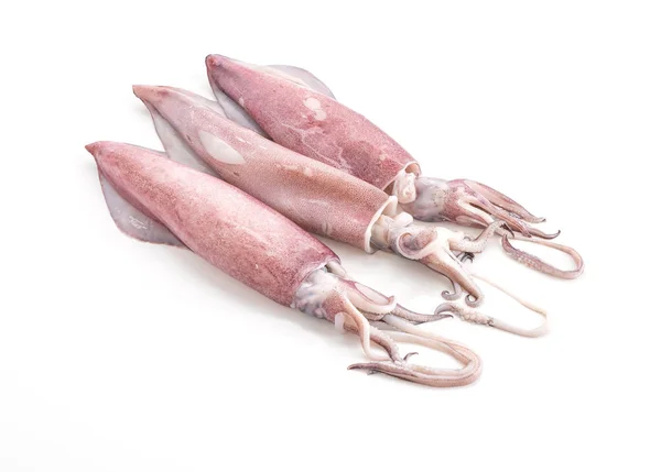 Fotos de Lulas frescas, Imagens de Lulas frescas sem royalties ...