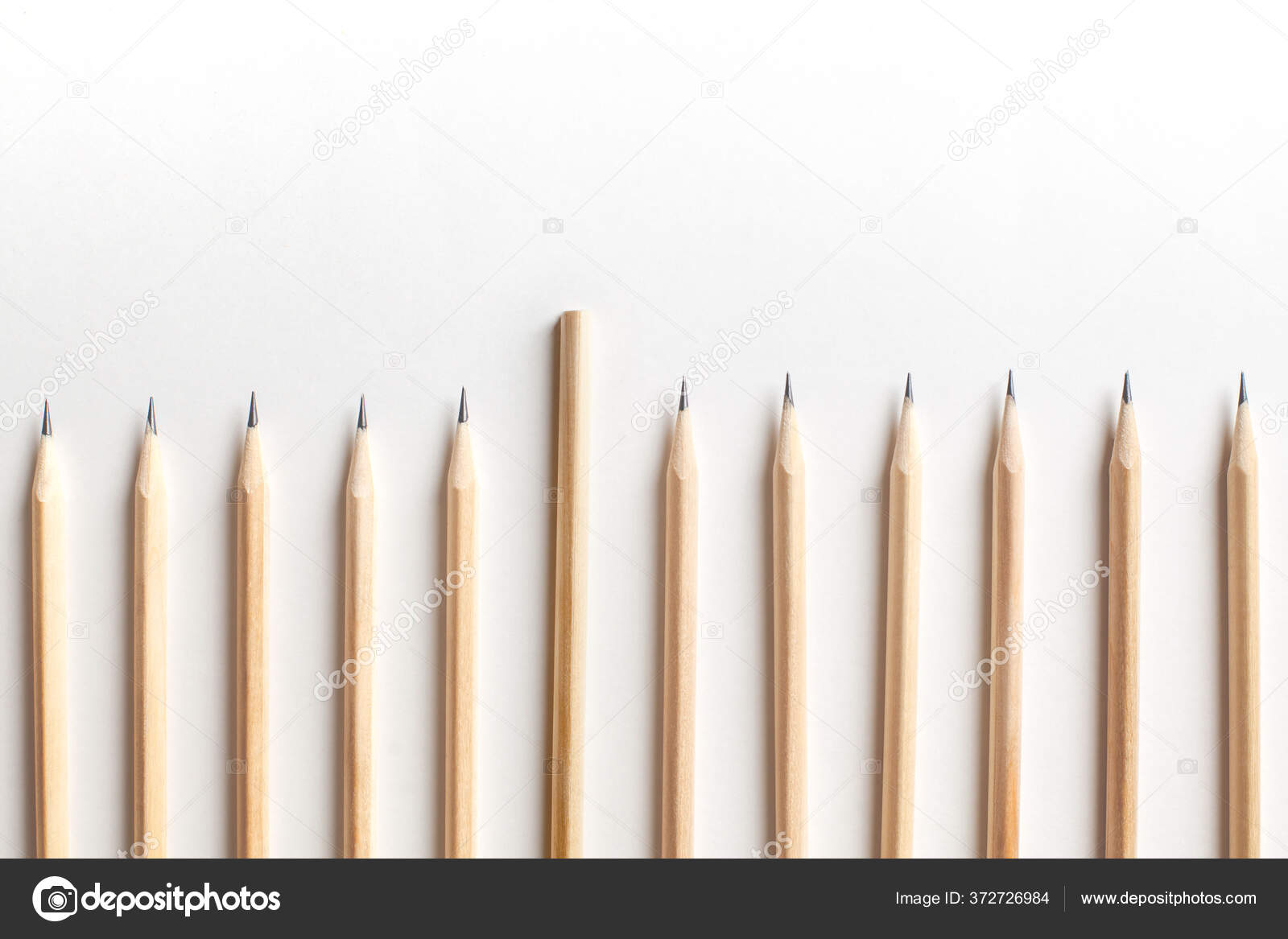 Unsharpened Round Pencil