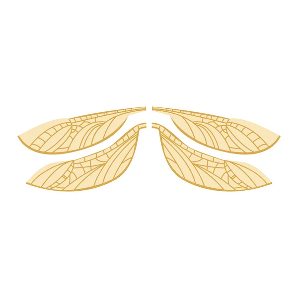 Wings isolated animal feather pinion bird freedom flight and natural ...