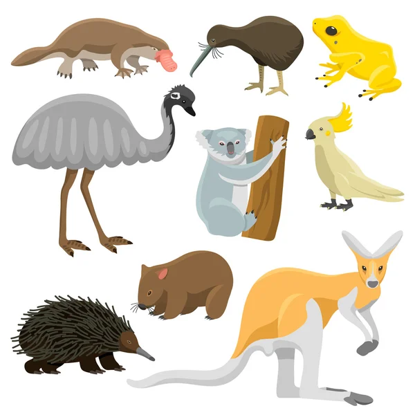 Australia wild animals cartoon popular nature characters flat style ...