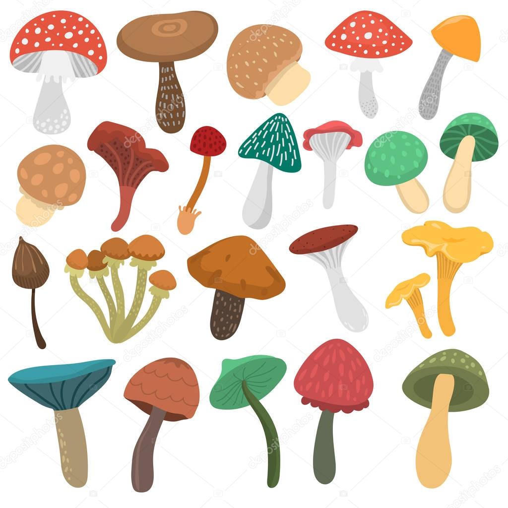 Mushrooms vector illustration set Stock Vector Image by ©VectorShow ...