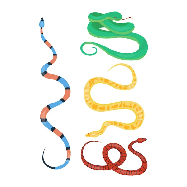 Snake reptile cartoon vector set. Stock Vector by ©VectorShow 137287570
