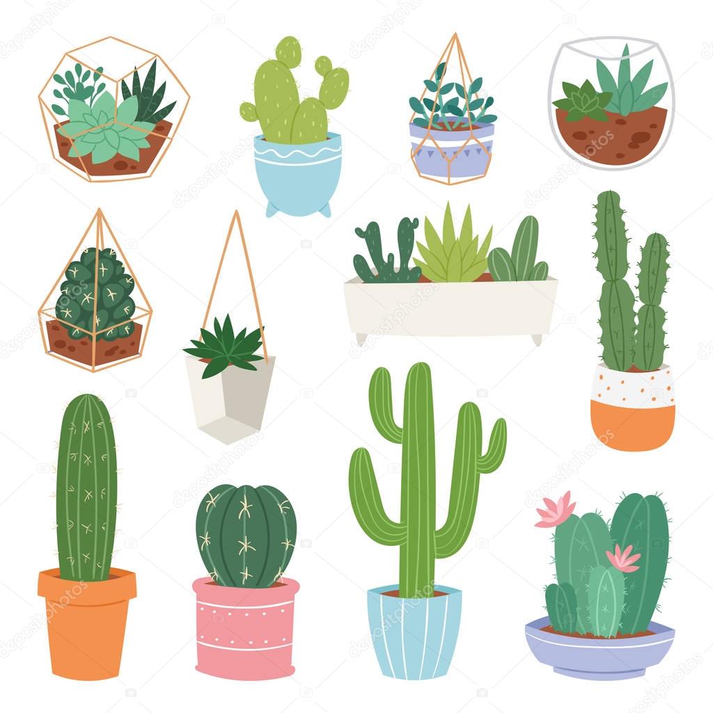 Cactus vector cartoon botanical cacti potted cute cactaceous succulent ...