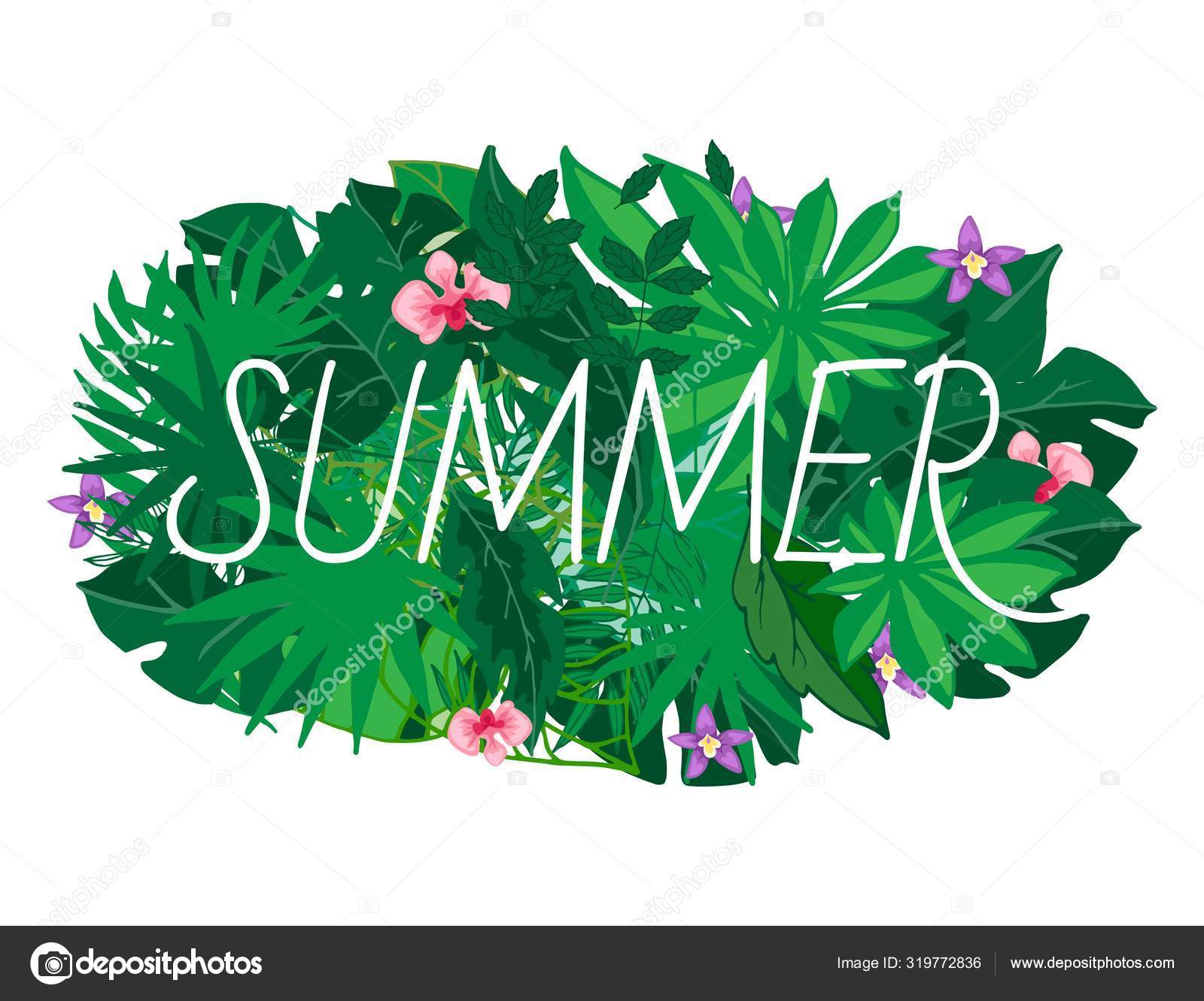 Summer leaves vector illustration. Exotic palm leaves and flowers ...
