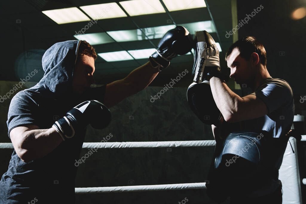 Boxeadores profesionales con guantes entrenan peleas en el ring de ...