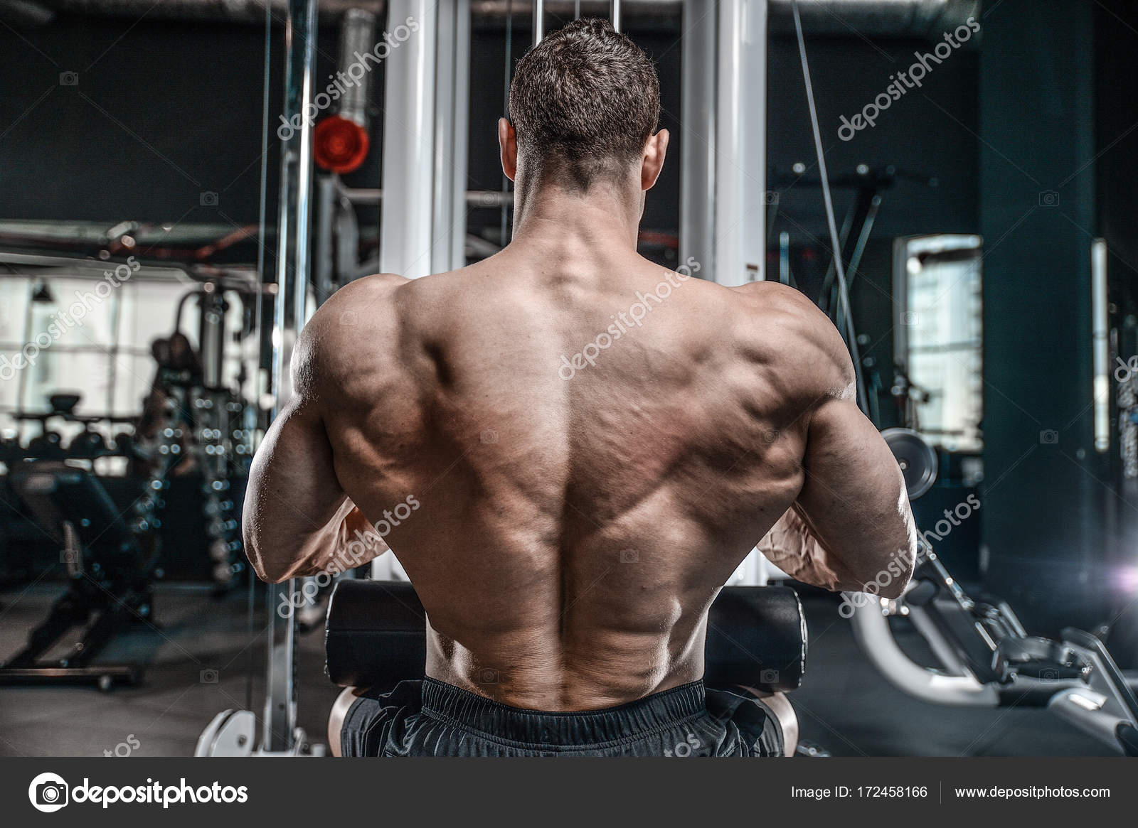 Handsome model young man training back in gym Stock Photo by ...