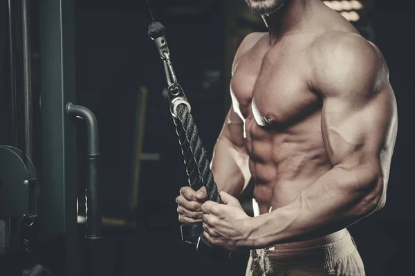 Handsome model young man training arms in gym - Stock Image - Everypixel