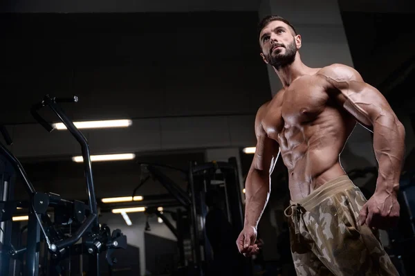 Hdr background gym Stock Photos, Royalty Free Hdr background gym Images ...