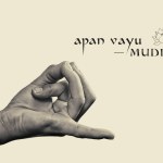 Apan Vayu Mudra Yogic Hand Gesture White Isolated Background Stock Photo by ©SvetaZi 316012644