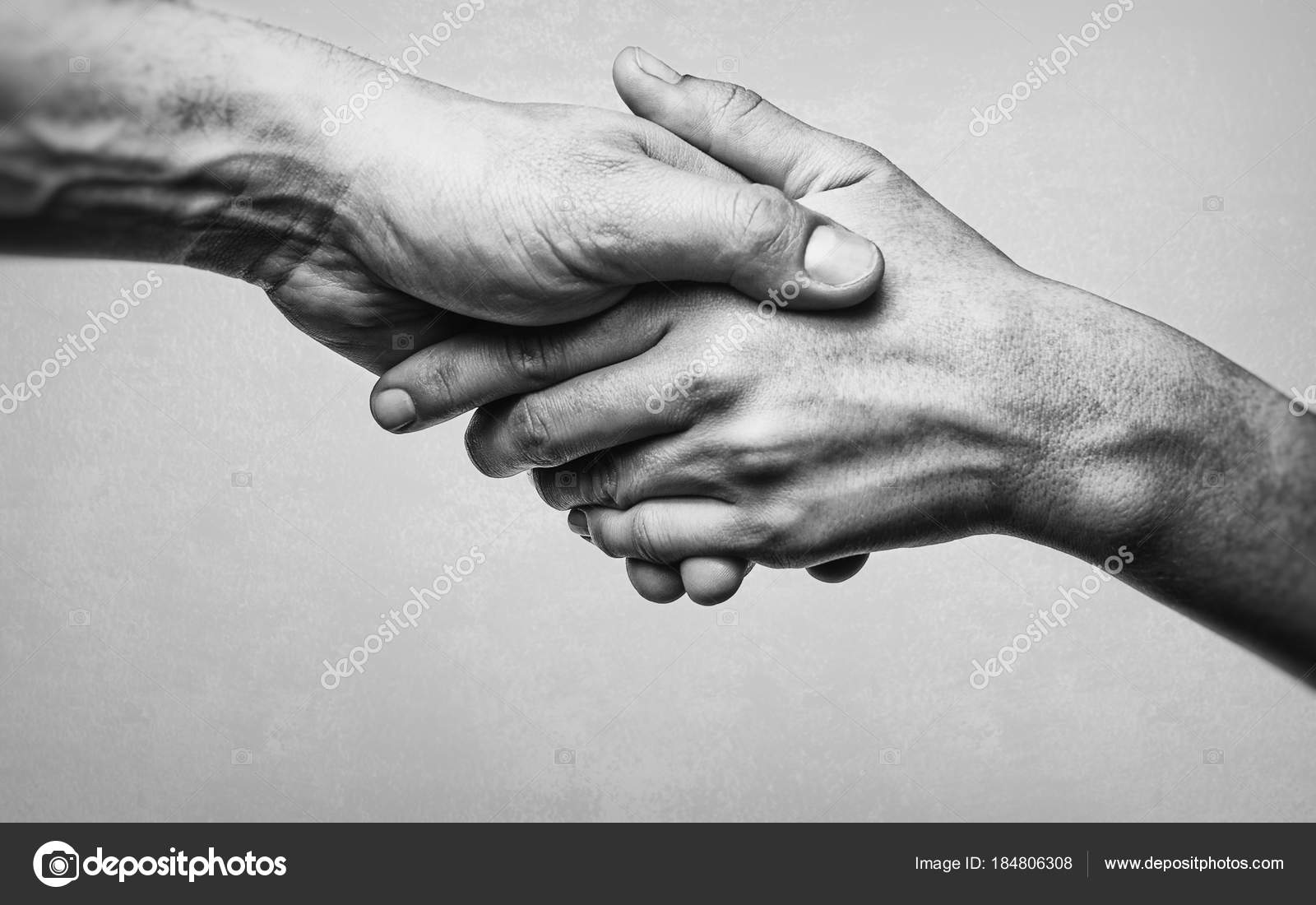 Firm Handshake Two Partners Black White Image White Background Stock ...