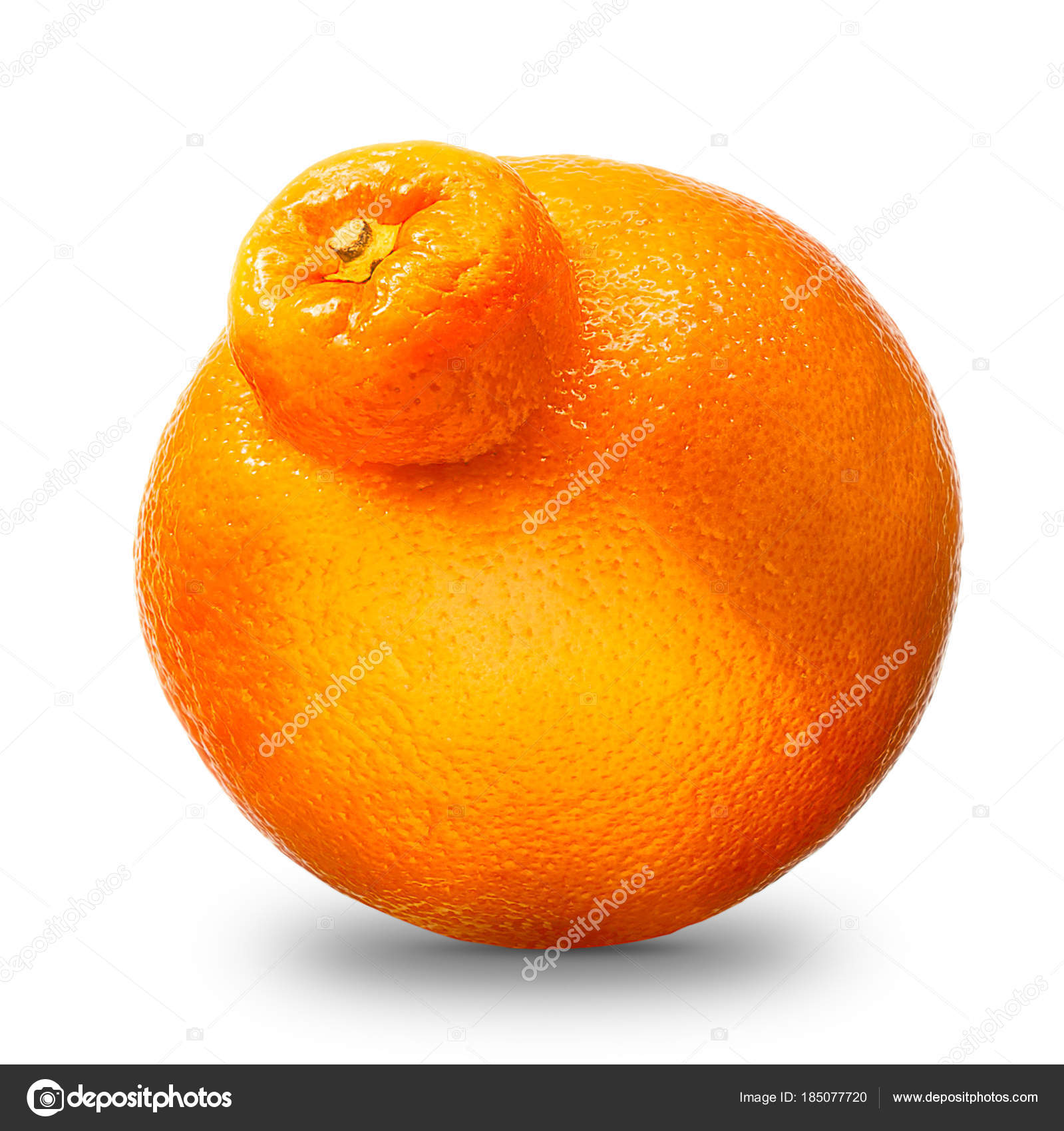 Single mandarin or tangerine citrus fruit — Stock Photo © CheersGroup ...