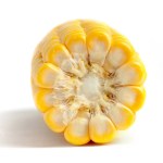 The corn cob pith Stock Photo by ©Xalanx 36966441