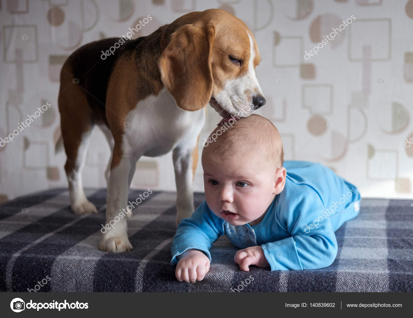 Baby and Beagle — Stock Photo © androsov58 #140839602