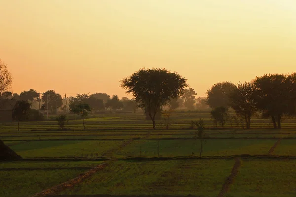 Punjab india fields Stock Photos, Royalty Free Punjab india fields ...