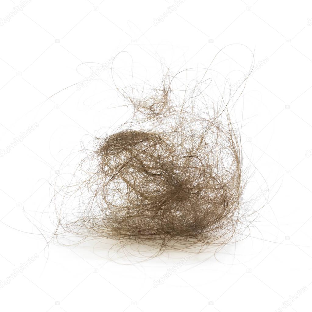 Un mechón de pelo. De cerca. Aislado sobre un fondo blanco. 2024