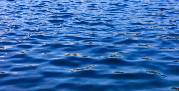 Fundo mar azul Stock Photos, Royalty Free Fundo mar azul Images ...