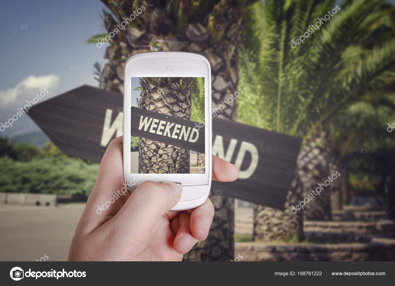 Hand with smart phone taking pictures of weekend arrow on palm tree ...