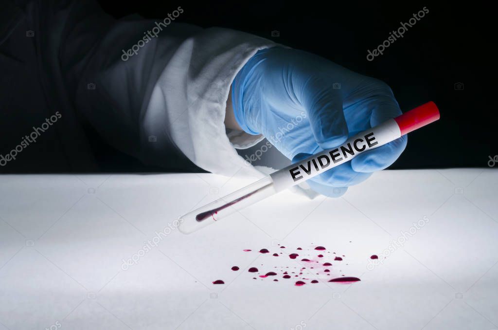 Experto forense toma una muestra de sangre con un palo estéril ...