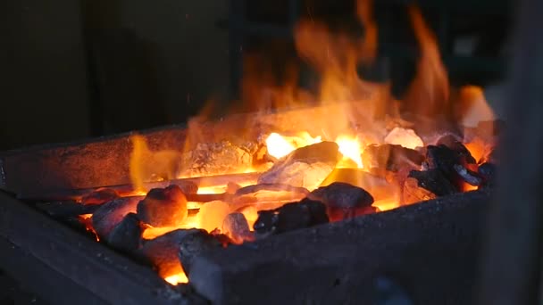 Blacksmith forges iron in fire and corrects coals — Stock Video ...