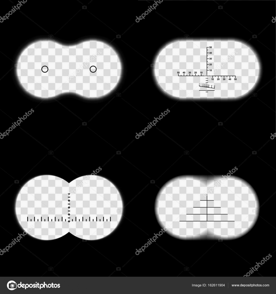 Binocular View Vector