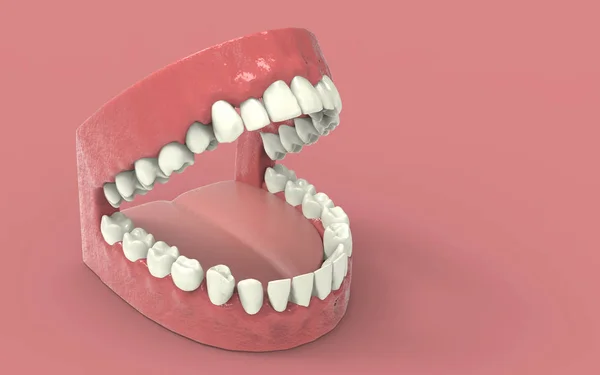 Como dientes Stock Photos, Royalty Free Como dientes Images | Depositphotos