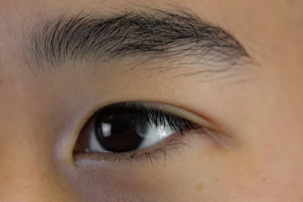 Asian pupil Stock Photos, Royalty Free Asian pupil Images | Depositphotos