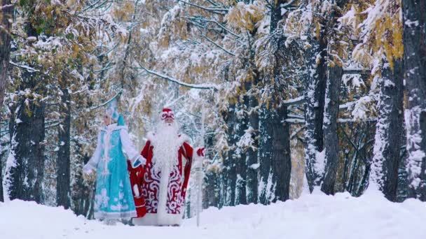 Ded Moroz and Snegurochka walking together in beautiful forest at ...