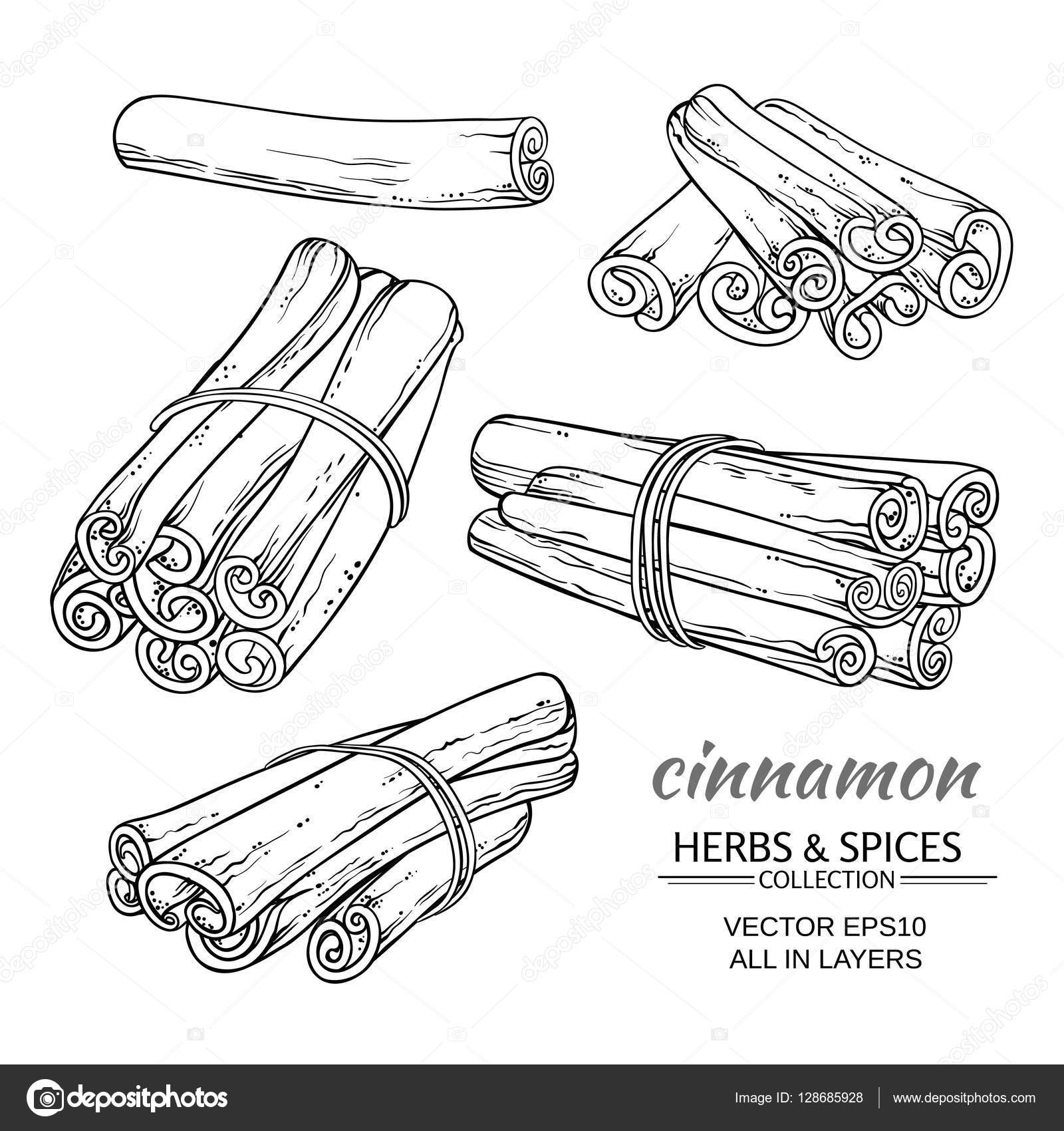 Cinnamon vector set Stock Vector Image by ©cuttlefish84 #128685928