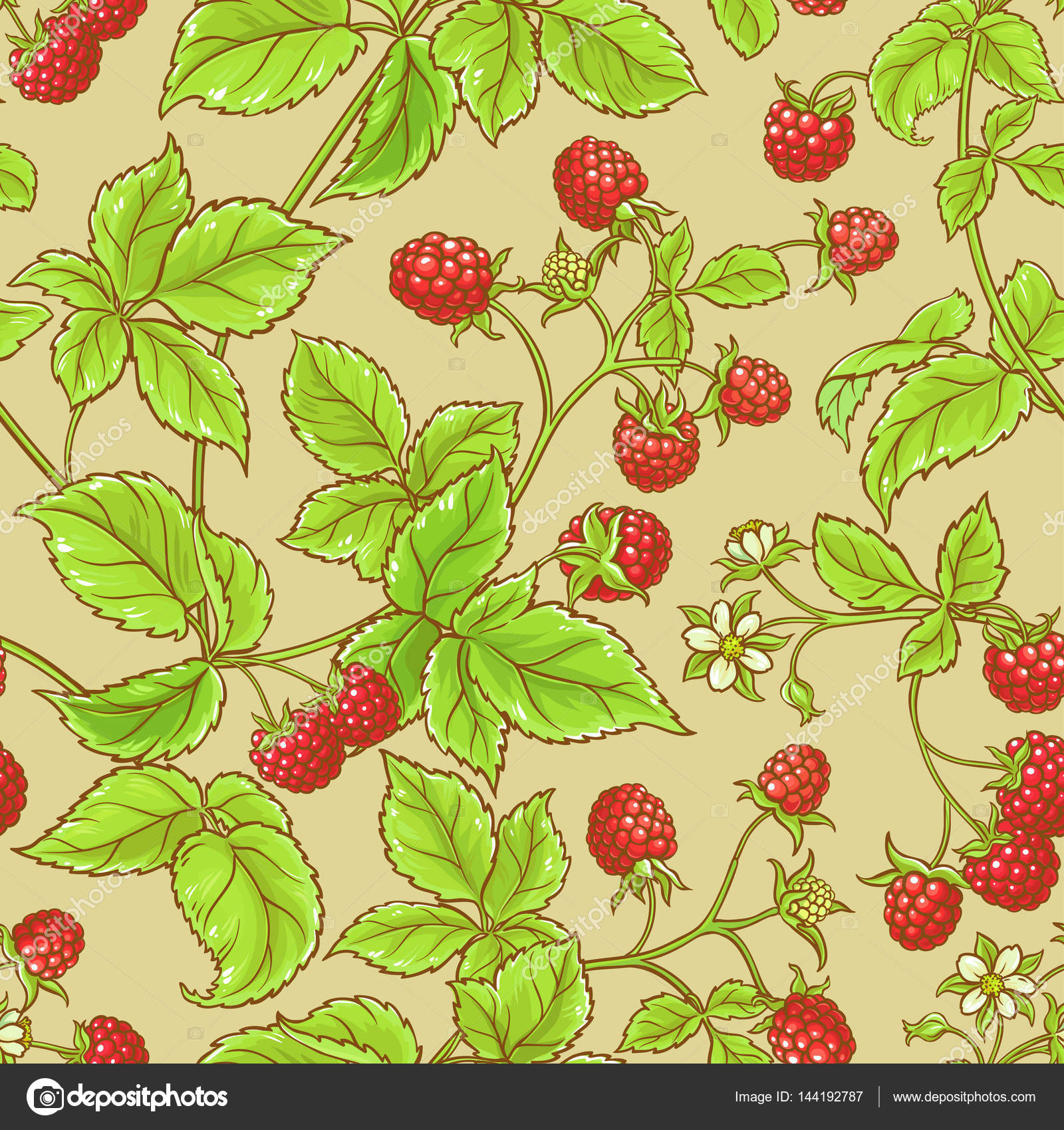 Raspberry vector pattern Stock Vector Image by ©cuttlefish84 #144192787