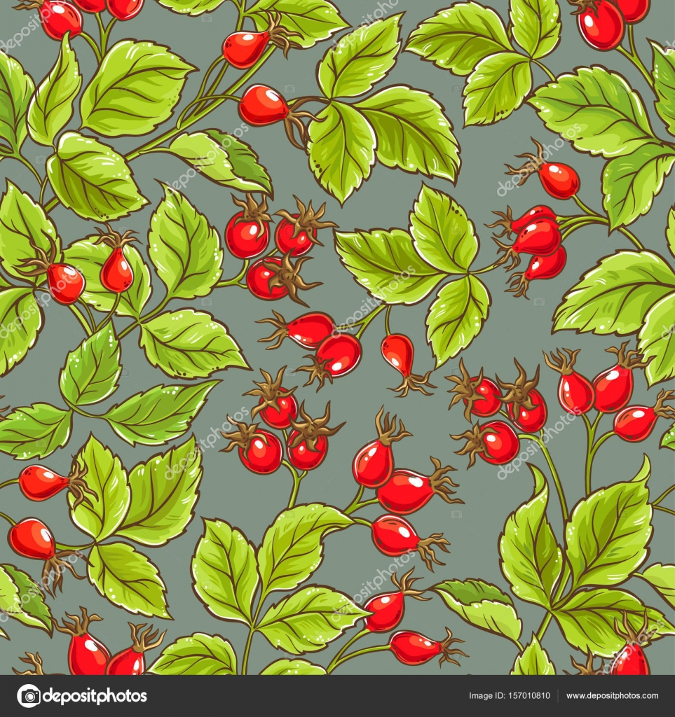 Wild rose vector pattern Stock Vector Image by ©cuttlefish84 #157010810