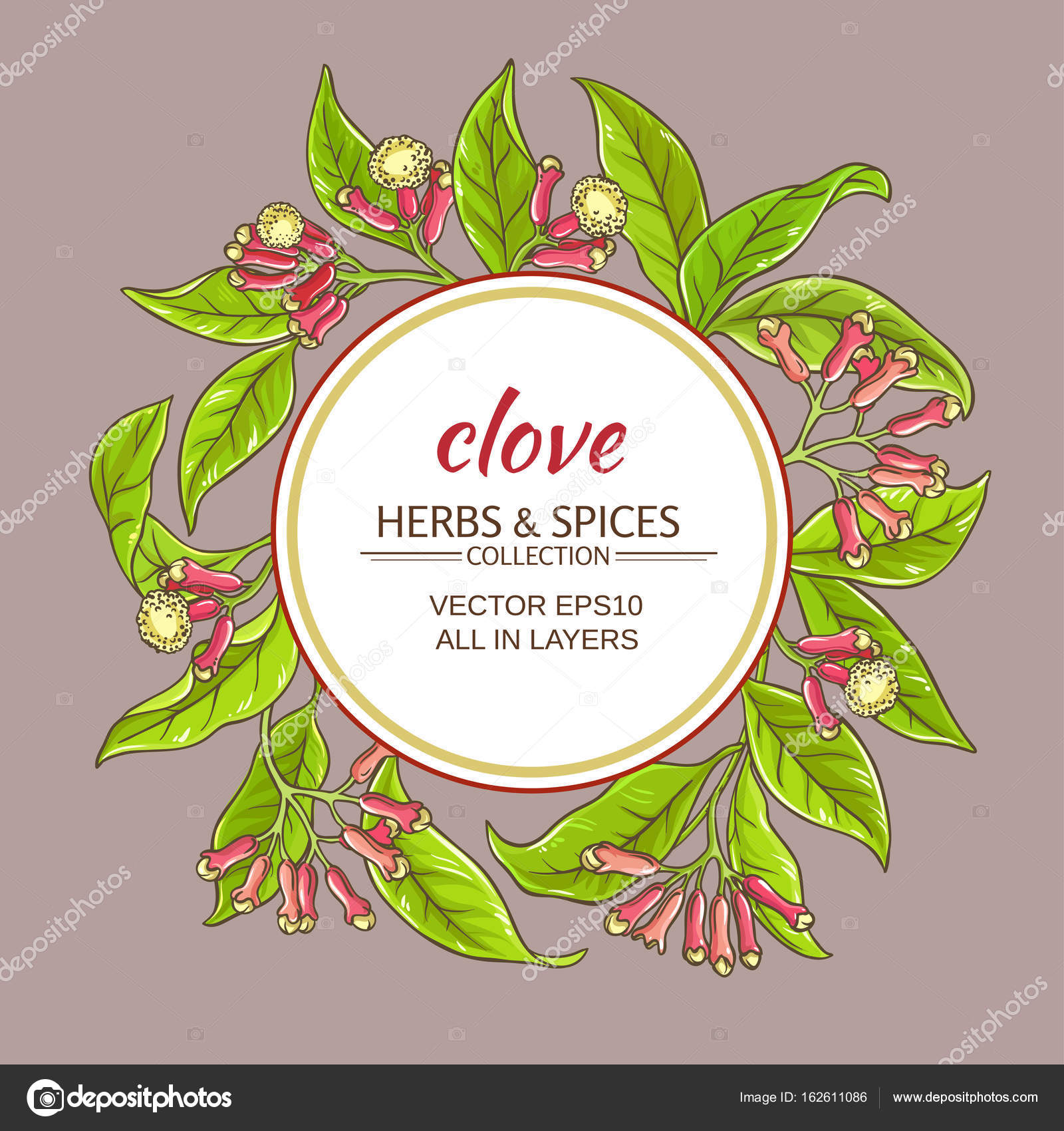 Clove vector frame Stock Illustration by ©cuttlefish84 #162611086
